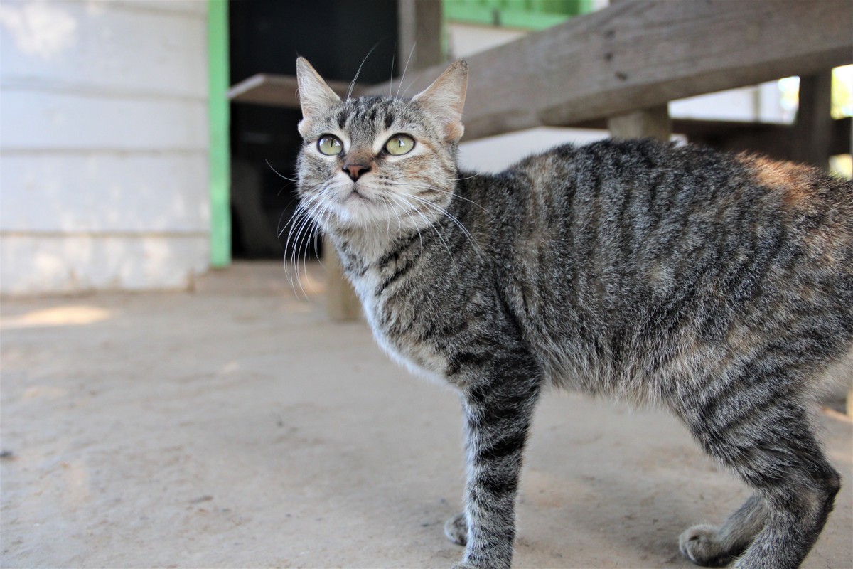 chat-champs-vinales-cuba-mylittleroad - My Little Road