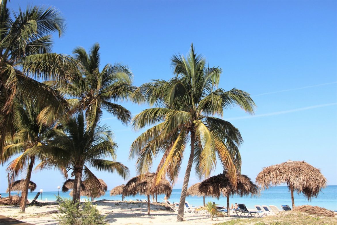 palmier-plagecayo-levissa-cuba-mylittleroad - My Little Road