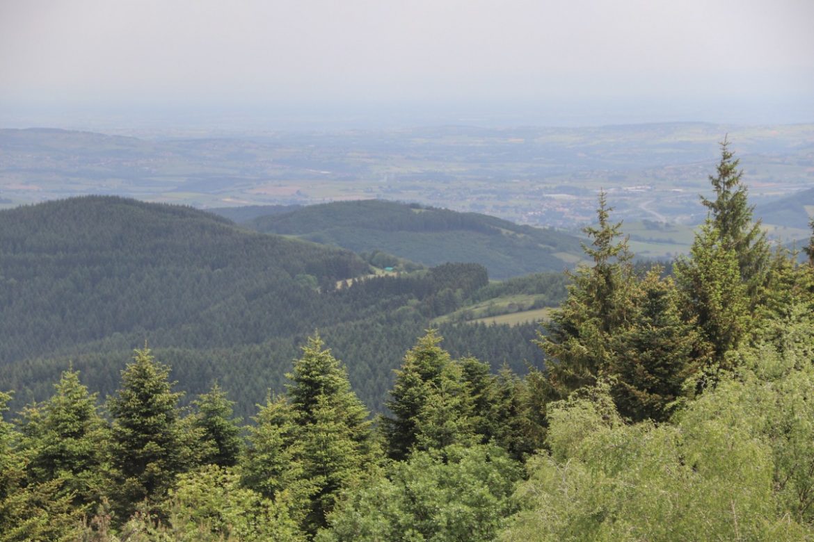 Découvrir le Forez entre nature, bien-être et artisanat - My Little Road